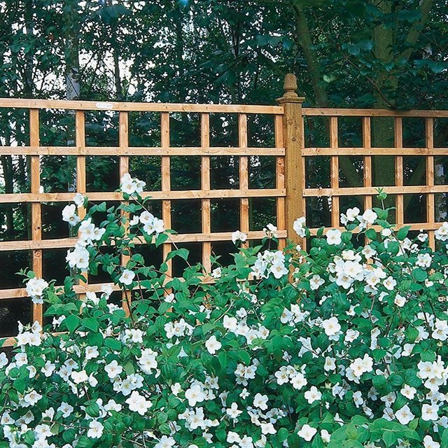 4ft by 6ft (1830mm x 1830mm) Forest Heavy Duty Trellis - elbec garden ...