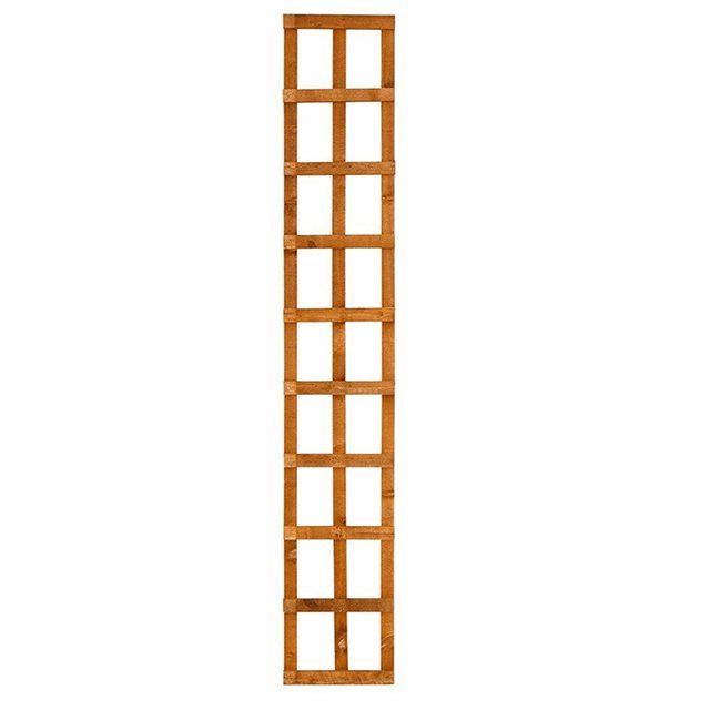 1ft by 6ft (300mm x 1830mm) Forest Heavy Duty Trellis (Pack of 10 ...